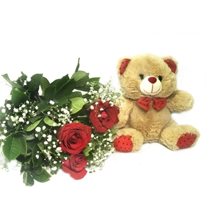 PROMOÇÃO Urso de Pelúcia com Rosas