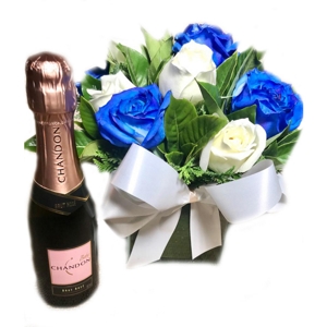 Rosa Azul e Chandon Baby
