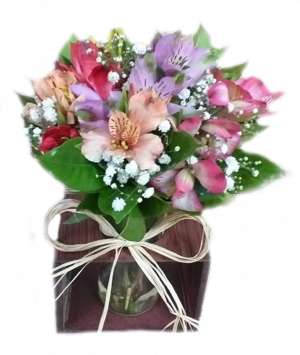 Bethy Flores | Floricultura Online de São Paulo