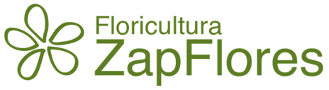 Floricultura Zap Flores - Flores Online - Grande São Paulo
